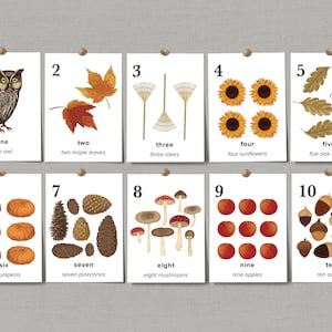 Autumn Nature Number Cards Printable | Fall Homeschool Printables ...