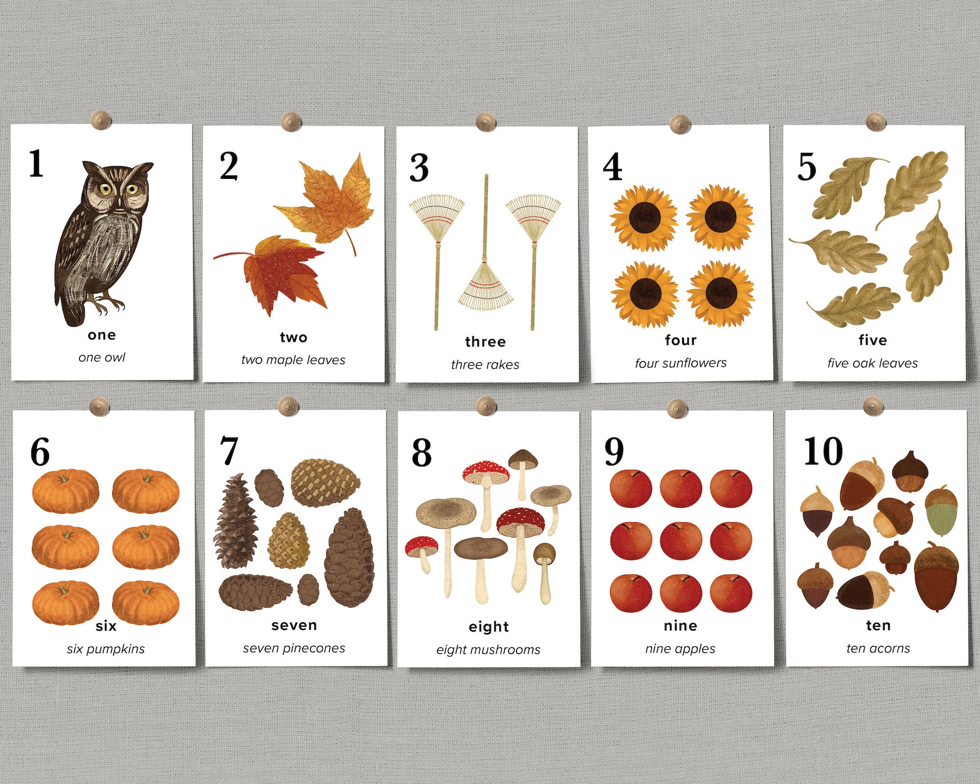Autumn Nature Number Cards Printable Fall Homeschool | Etsy