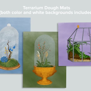 Butterfly Activity Pack BUNDLE | Nature Homeschool Printables ...