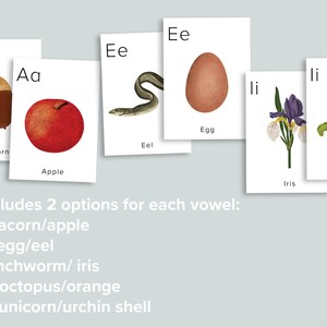 Nature ABC Cards Printable | Homeschool Printables Preschool Nursery ...