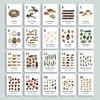 Bugs Count and Clip 1-20 Number Cards Nature Homeschool Printables ...