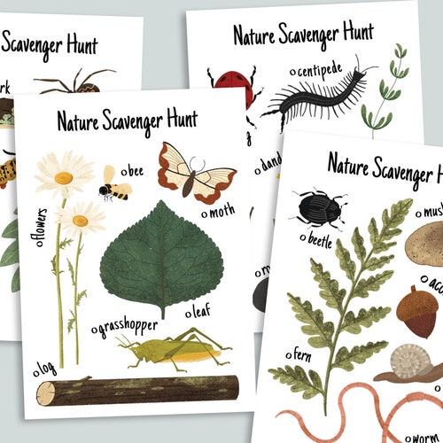 Autumn Nature Scavenger Hunt Printable Fall Homeschool | Etsy