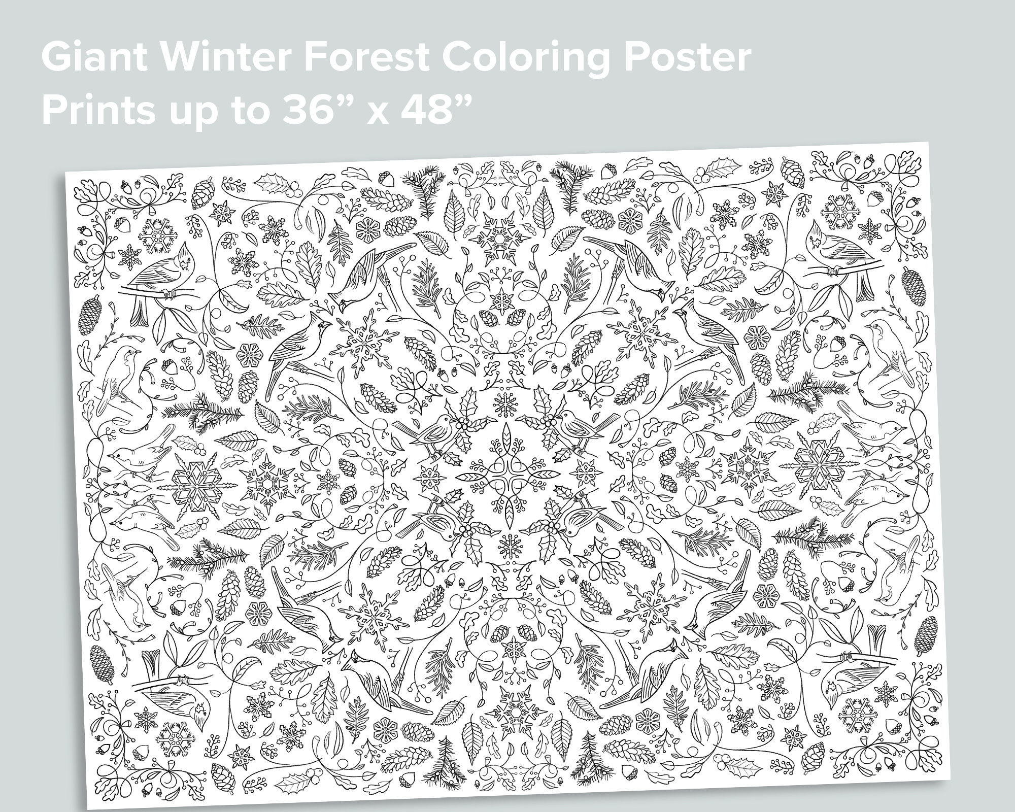 Winter Nature Coloring Pages