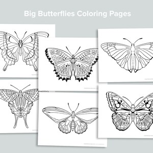 Butterfly Activity Pack BUNDLE | Nature Homeschool Printables ...