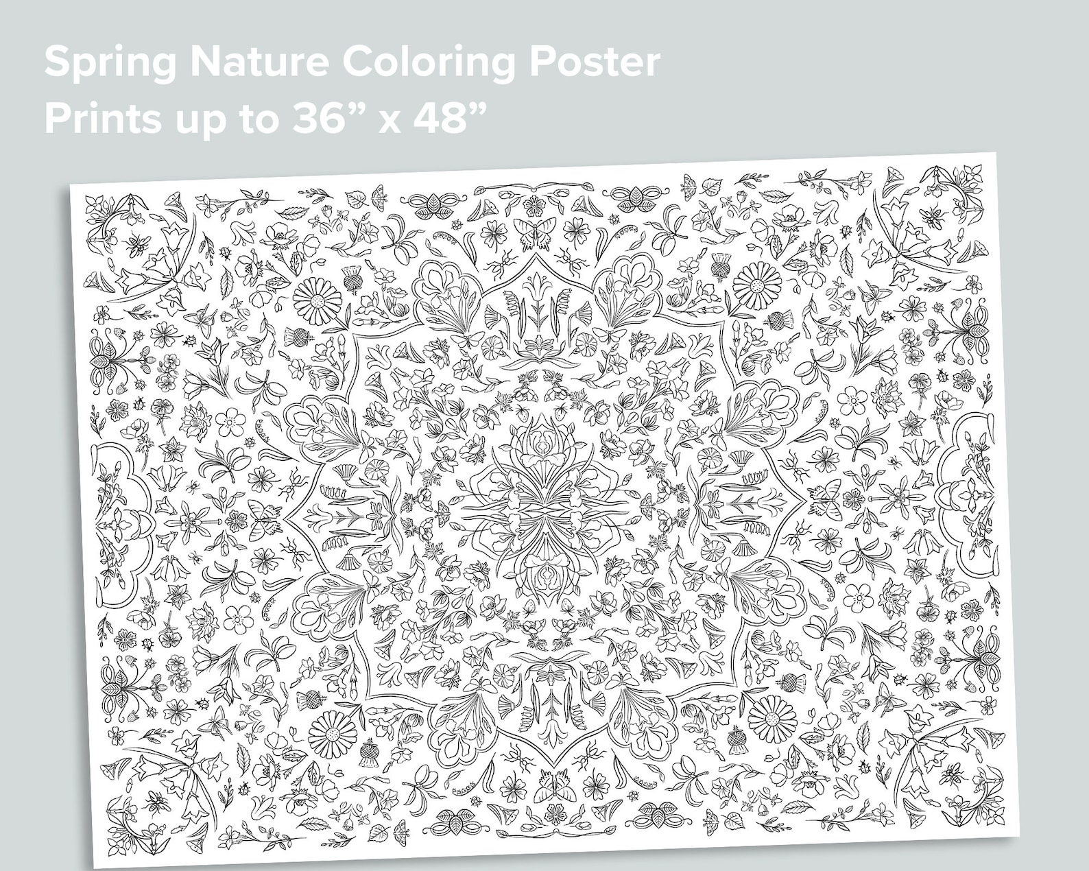 Giant Spring Coloring Poster Nature Homeschool Printables - Etsy
