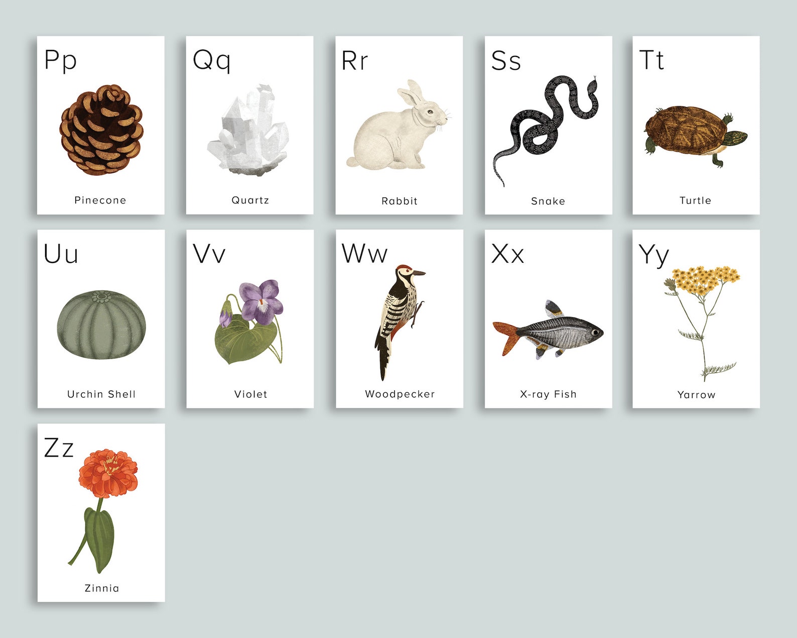 BUNDLE Nature Preschool Homeschool Printables | Charlotte Mason Number ...