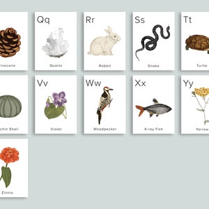 BUNDLE Nature Preschool Homeschool Printables | Charlotte Mason Number ...