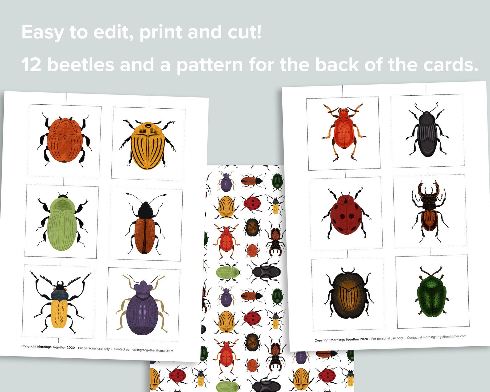 Beetles Matching Activity Nature Beetles Bugs Preschool - Etsy