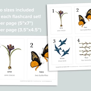 Spring Nature Number Cards Printable | Homeschool Printables | Holiday ...