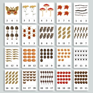 Autumn Count and Clip 1-20 Number Cards | Nature Homeschool Printables ...