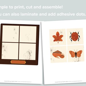 Preschool Nature Color Match Activity | Charlotte Mason Homeschool ...