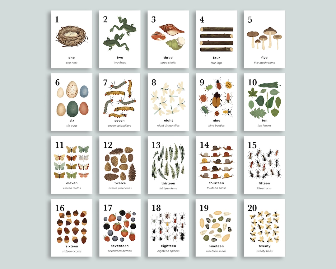 Nature Number Cards 1-20 | Charlotte Mason Pre K | Homeschool ...