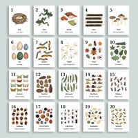 Nature Number Cards 1-20 | Charlotte Mason Pre K | Homeschool ...