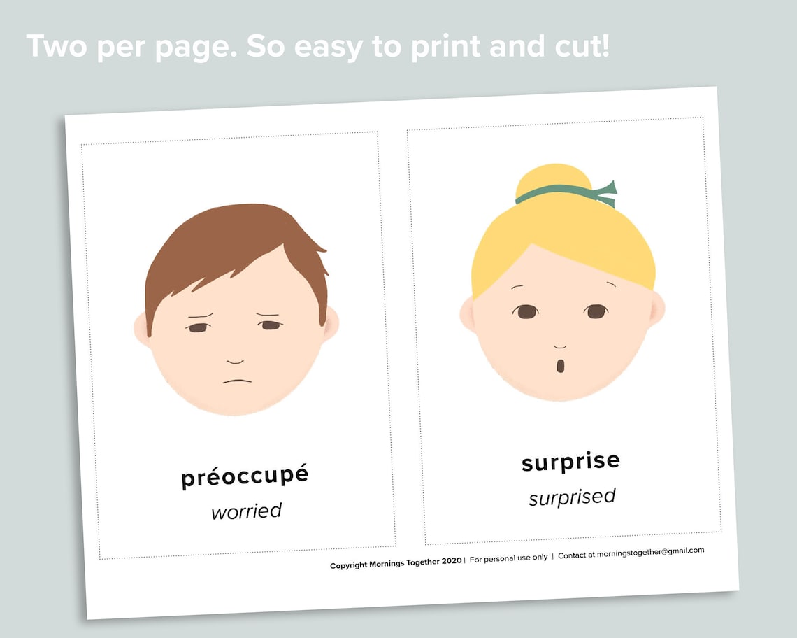 French & English Emotions Flashcards Printable | Feelings Flash Cards ...