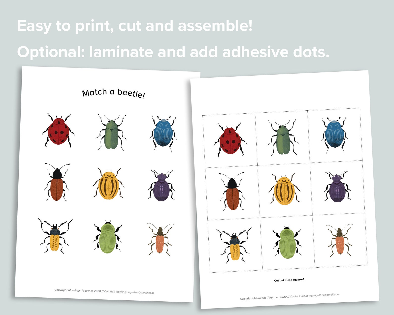 Minibeast Matching Activity | Nature Beetles Moth Preschool Homeschool ...