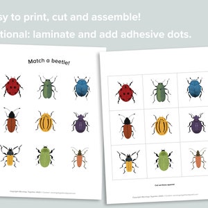 Minibeast Matching Activity | Nature Beetles Moth Preschool Homeschool ...