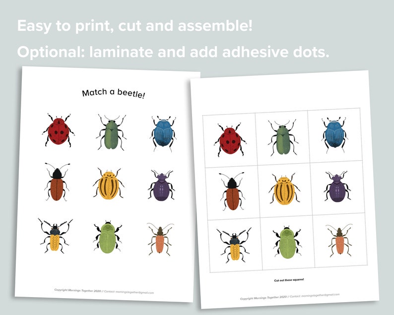 Minibeast Matching Activity Nature Beetles Moth Preschool - Etsy