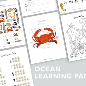 Ocean Learning Pack Sea Life Homeschool Printables Seashell Sharks ...