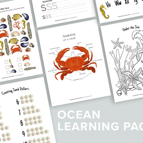 Ocean Learning Pack Sea Life Homeschool Printables - Etsy