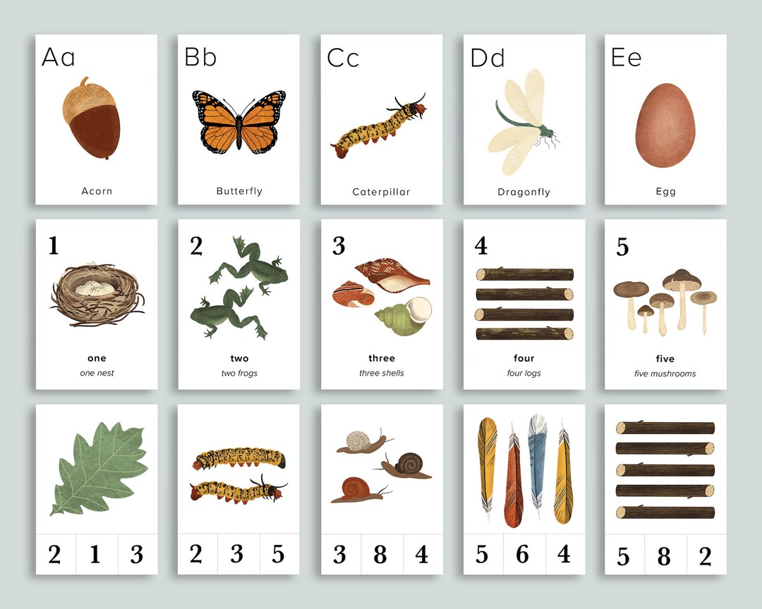 BUNDLE Nature Preschool Homeschool Printables | Charlotte Mason Number ...