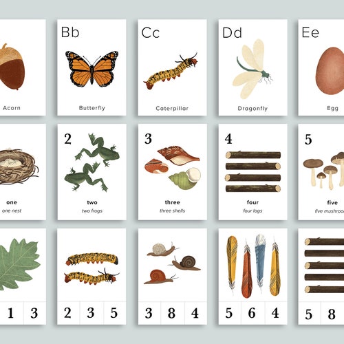 Nature Count and Clip Number Cards 1-10 Charlotte Mason | Etsy