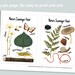 Nature Scavenger Hunt Printable Charlotte Mason Homeschool Printables ...