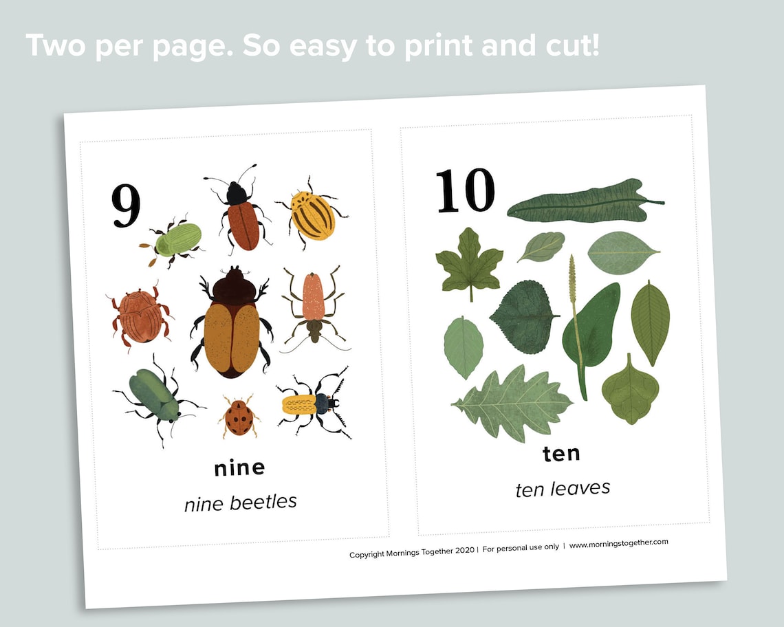 Nature Number Cards 1-20 | Charlotte Mason Pre K | Homeschool ...