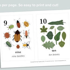 Nature Number Cards 1-20 | Charlotte Mason Pre K | Homeschool ...