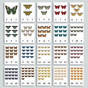 Butterfly Activity Pack BUNDLE | Nature Homeschool Printables ...