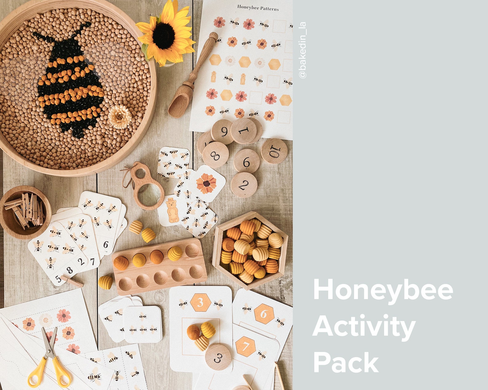Honeybee Activity Pack BUNDLE | Nature Flashcards | Homeschool ...