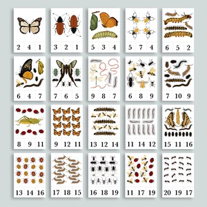 Bugs Count and Clip 1-20 Number Cards | Nature Homeschool Printables ...