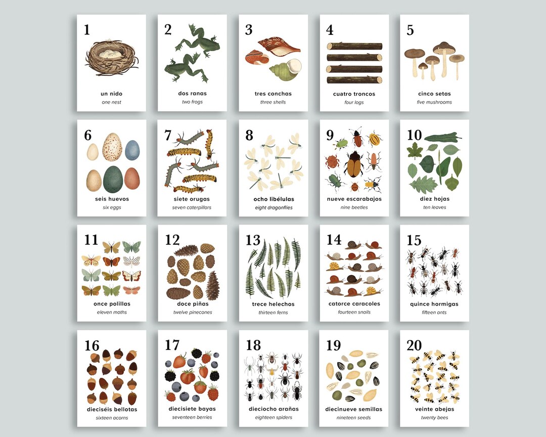 Spanish & English Nature Number Cards 1-20 Bilingual Printable ...