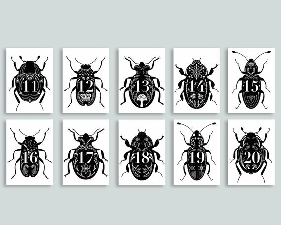 Toys & Games Beetle Number Flashcards Homeschool Resources Nature ...