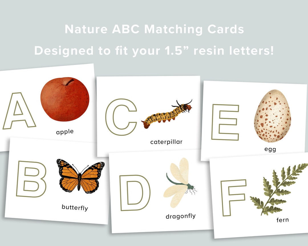 Nature ABC Resin Letter Match Activity | Preschool Letters | Alphabet ...