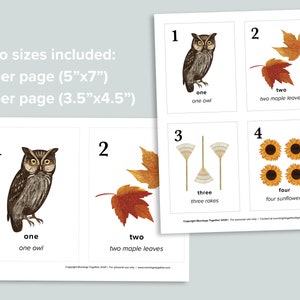 Autumn Nature Number Cards Printable | Fall Homeschool Printables ...