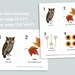 Autumn Nature Number Cards Printable | Fall Homeschool Printables ...
