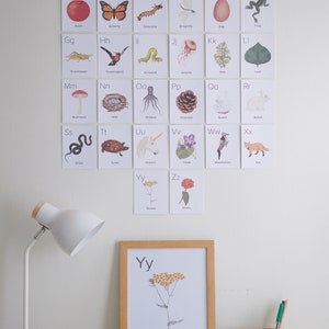 Nature ABC Cards Printable | Homeschool Printables Preschool Nursery ...