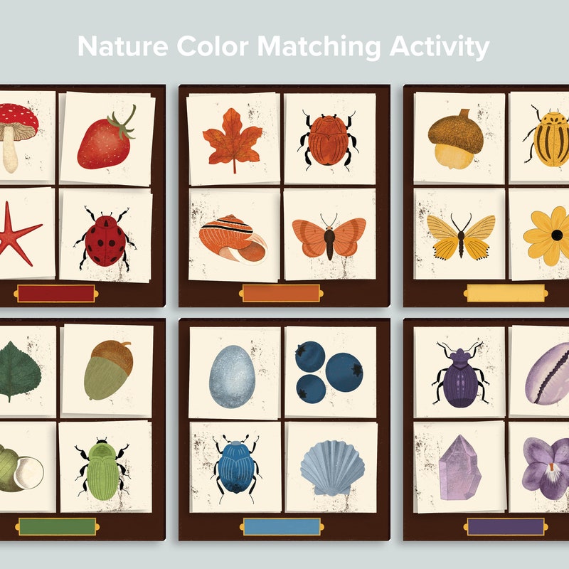 Charlotte Mason Curriculum - Etsy