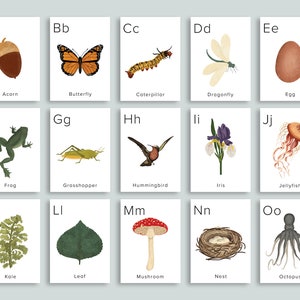 BUNDLE Nature Preschool Homeschool Printables | Charlotte Mason Number ...