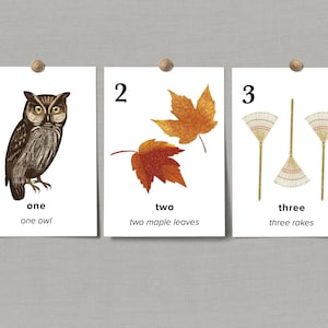 Autumn Nature Number Cards Printable | Fall Homeschool Printables ...