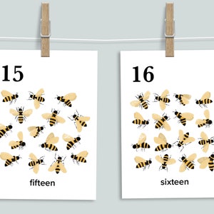 Bee Number Cards 1-20 | Charlotte Mason Nature Flashcards | Homeschool ...