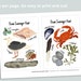 Ocean Scavenger Hunt Beach Printable | Charlotte Mason Homeschool ...