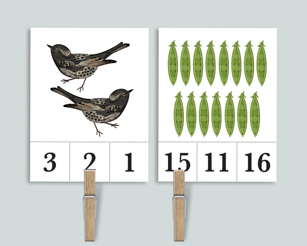 Garden Count and Clip 1-20 Number Cards | Nature Homeschool Printables ...