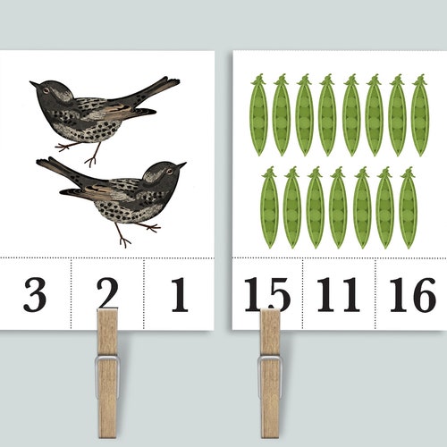 Garden Count and Clip 1-20 Number Cards Nature Homeschool - Etsy