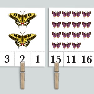 Butterfly Activity Pack BUNDLE | Nature Homeschool Printables ...