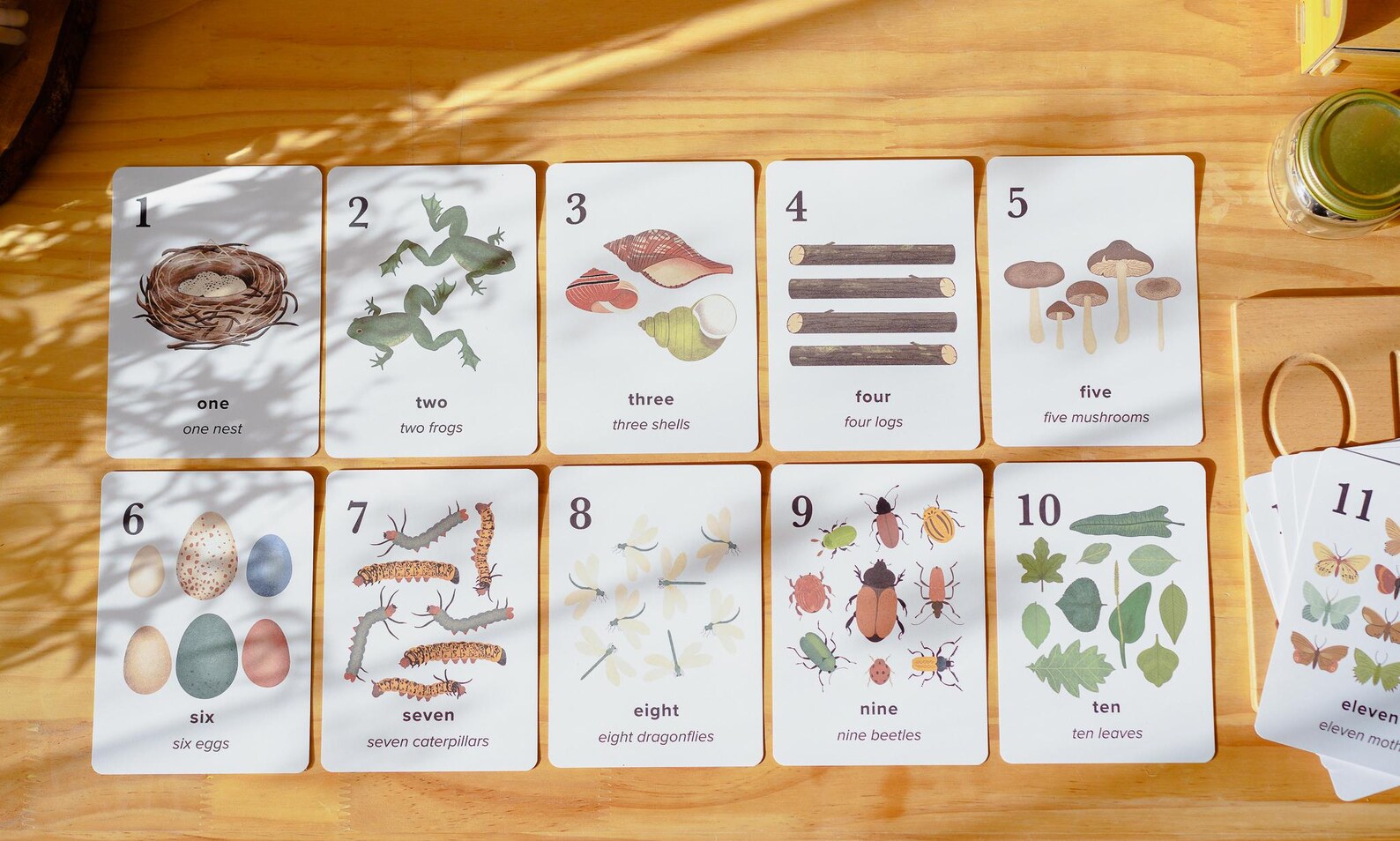Nature Number Cards 1-20 Charlotte Mason Pre K Homeschool Printables ...