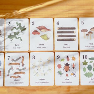 Nature Number Cards 1-20 | Charlotte Mason Pre K | Homeschool ...