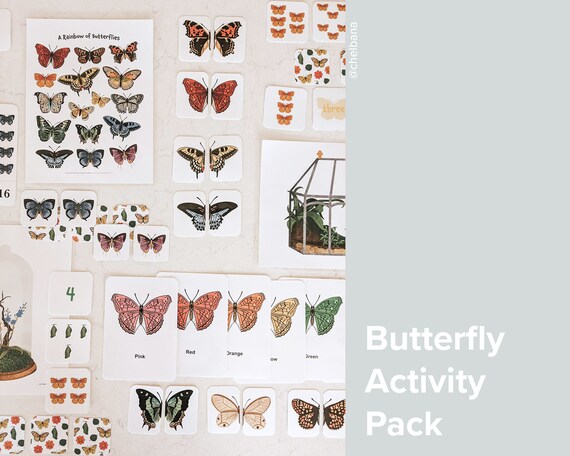Butterfly Activity Pack BUNDLE Nature Homeschool Printables - Etsy