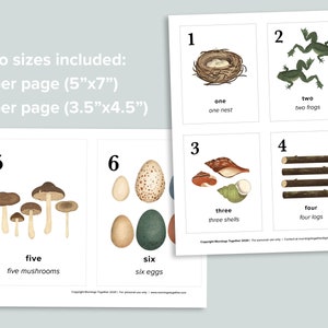 Nature Number Cards 1-20 | Charlotte Mason Pre K | Homeschool ...