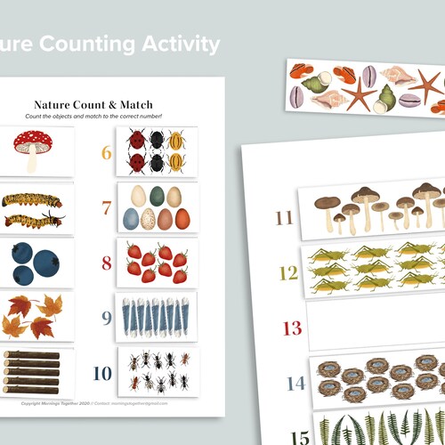 Bugs Count and Clip 1-20 Number Cards Nature Homeschool - Etsy